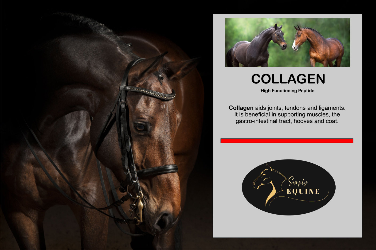 Collagen | Horse Supplement | Simply Equine